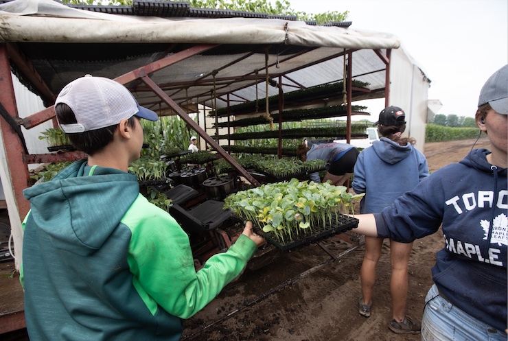 Applications for Youth Employment and Skills Program open Feb 26 | The Grower